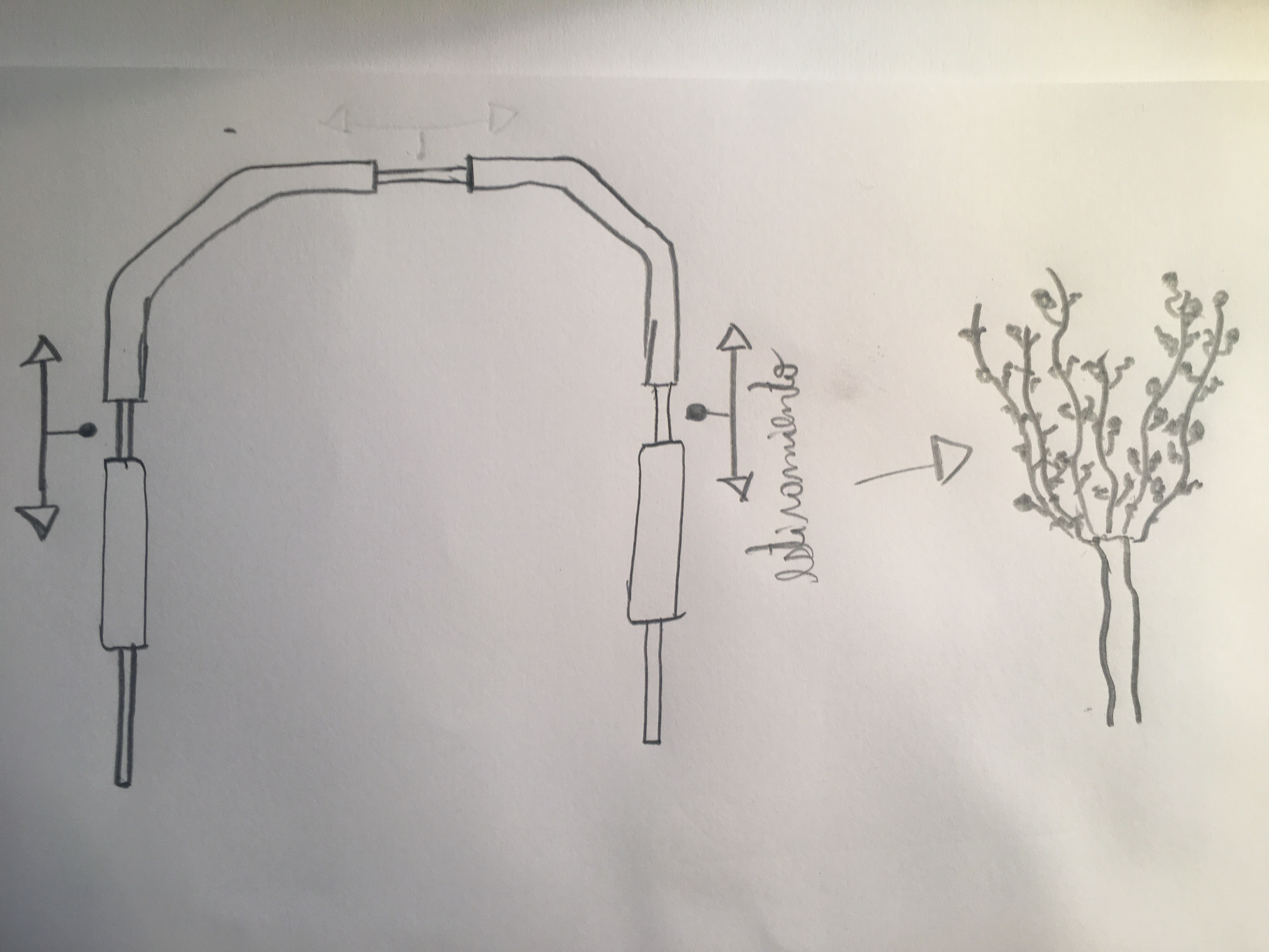 Encargo Dibujos - Maximiliano Vivanco