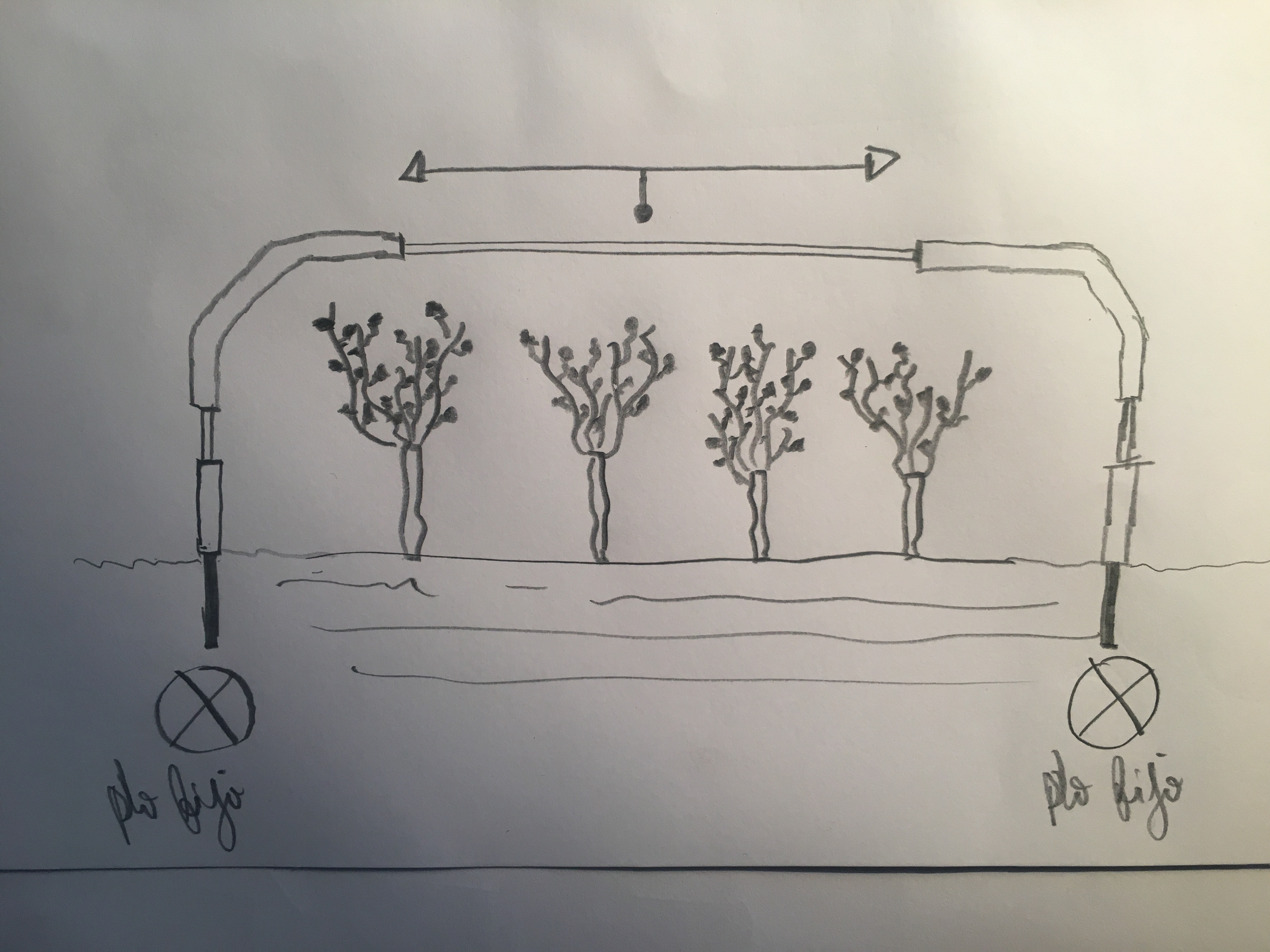 Encargo Dibujos - Maximiliano Vivanco