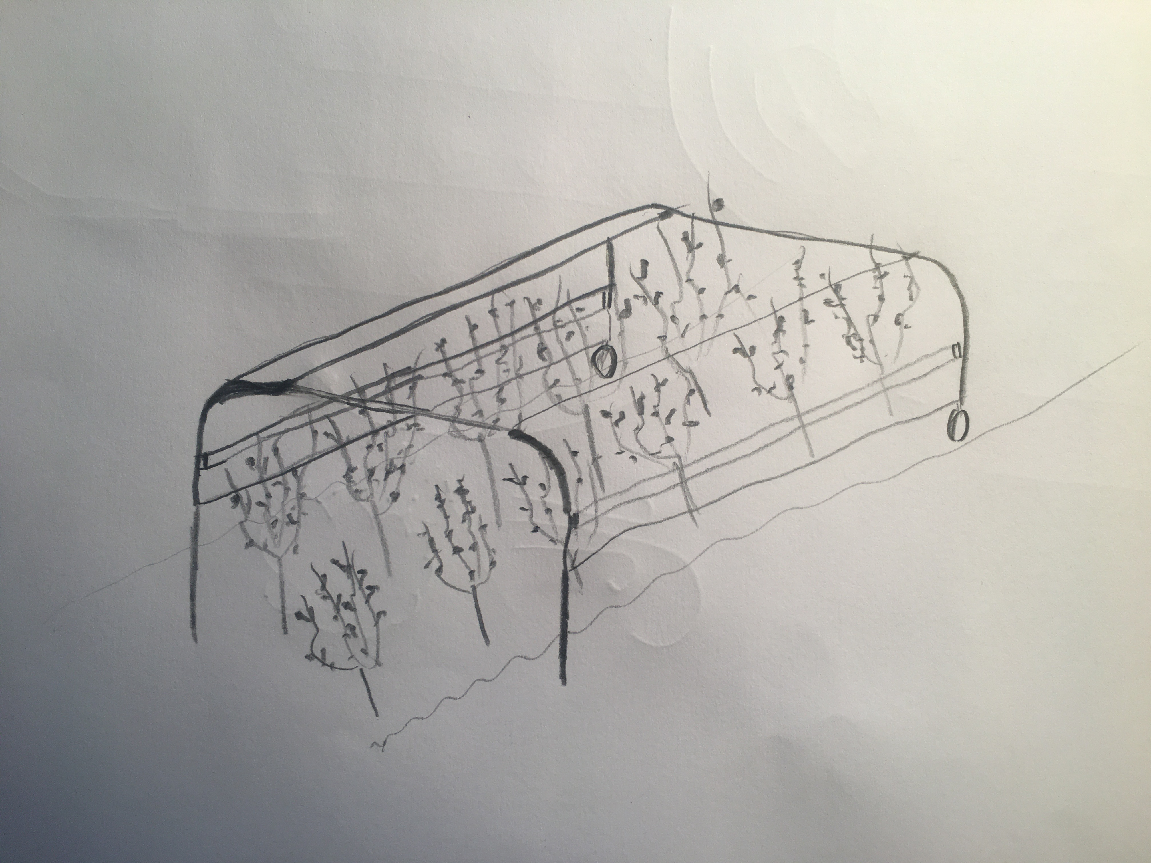 Encargo Dibujos - Maximiliano Vivanco